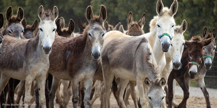 The Benefit of the Doubt - International Fellowship of Christians and ...